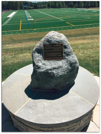 A Decade of Caitrin’s Rock: A Tribute to Community and Purpose ...